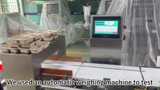 Automatic Checkweigher Scale Sorting Checking Weigher Reject System  MID CE And ISO