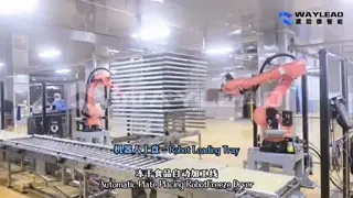 China Freeze-Drying Automated Line Automatic In/Out Freeze-Drying Warehouse Equipment for sale