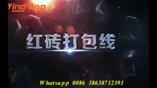 Semi auto clay brick packing machine with stacker