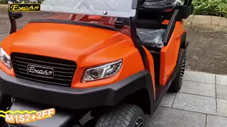 China 48V Electric Golf Buggy with Red/Blue Strobe Light With Trojan Battery for sale