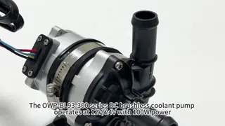 High Efficiency Electric Coolant Pump 100 watts for Battery Management System