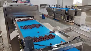 chocolate single-twist packing machine