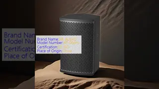 100W Karaoke Speaker: Pro Sound