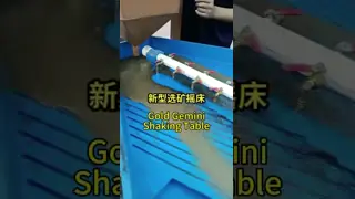 Gold Gemini Shaking Table---