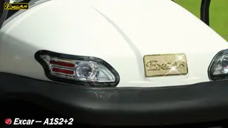 China Electric Golf Carts Featuring 48V Trojan Battery and Curtis Controller Designed for and Dependable Electric Mobility for sale