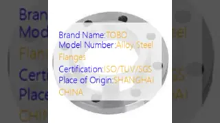 API 605 Flanges Petroleum Pipeline Strength