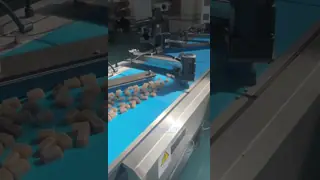 chocolate double twist packing machine plus sealing