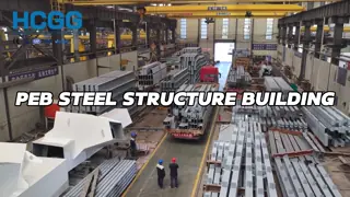 Customized steel structure building