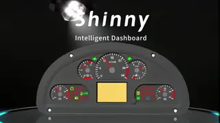 China ZLZB217 Industrial Vehicle Monochrome Dot Matrix Screen for Consistent Display Output for sale