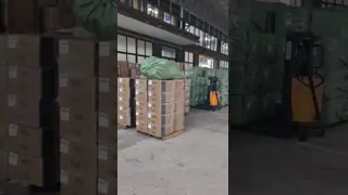 Daily shipping videos