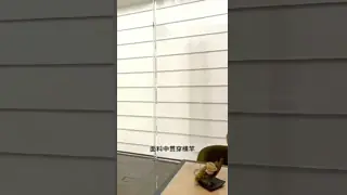 Factory Direct Smart Powered Zigbee APP Electric Automatic Indoor Battery Operated Motorized Zebra R