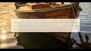 Wooden Boat Paint: Mold Algae Seawater Resistant