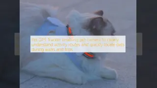 Pet GPS Tracker Find Lost Pets