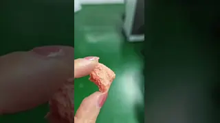 Freeze Dryer  Food