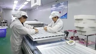 High-brightness digital signage source factory manufacturer