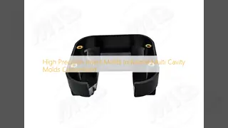 Precision Multi Cavity Insert Molds