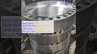 Alloy Steel Flanges for Petroleum API 605