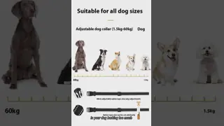 China E-Commerce Best Seller Waterproof Rechargeable Plastic Dog Bark Control Collar Large/Medium/Small Dogs Anti-Barking Training for sale
