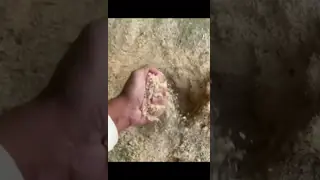 Wood Sawdust Dryer