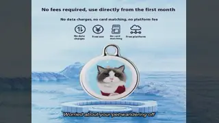 China Pet Smart GPS Tracker Collar Dog Cat Bluetooth Wireless Waterproof IP67 Anti-Loss Alarm Locator Outdoor Use Android IOS 4G for sale