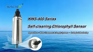 China KWS-400 Optical Fiber Chlorophyll Sensor Chlorophyll Probe for sale