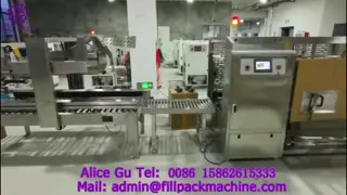 2135 P34 All-Stainless Steel Folding Carton Sealing Machine