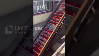 Automated Ready Meal Production Line