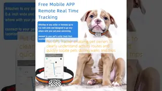 Pet GPS Tracker: Never Lose Your Pet Again