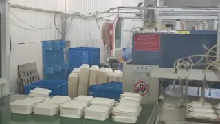 Biodegradable Sugarcane Pulp Tableware Production Line (PFAS-Free)