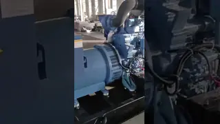 Diesel Electric Generator Open Diesel Generator 3Phases Diesel Backup Generator for House
