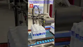 Palletizing conveying line used in a 42,000 BPH bottled water line