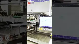 Carton wrapping machine used in Qingdao Beer glass bottle beer production line