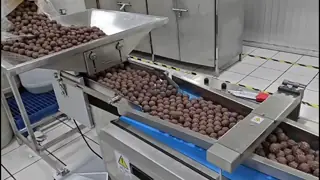 Ferrero Chocolate Packaging Machine