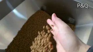 1kg Dog Food Automatic Packing Line