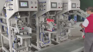 Valve Bag Filling Machine