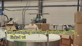 China 2nd Packaging  Machine For Hollow Bottle ,linked With Auto Assblyment Machine And Turn Table for sale