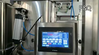 Dual-Head Linear Weigher for 25kg MSG Packaging