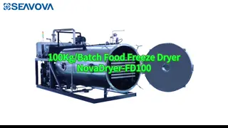 100Kg Industrial Food Freeze Dryer Lyophilizer NovaDryer-FD100