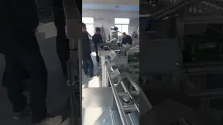 Syringe Packaging Machine Automation