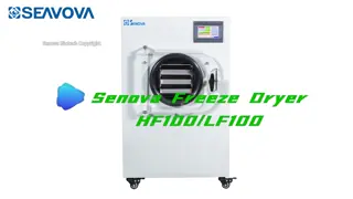 1Kg 2Kg Commercial Freeze Dryer Lyophilizer NovaDryer-HF100