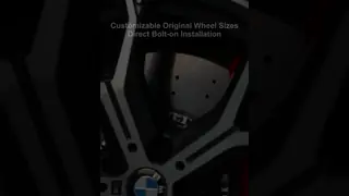 TEI TCCB-R Disc