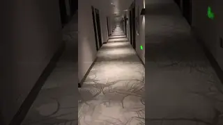 Hotel corridor carpet case appreciation