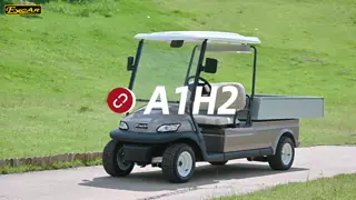 China Multi-Functional Electric Utility Carts For 2 Person 17a Regular Charger for sale