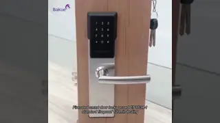 China 120Min Fireproof Fringerprint Door Lock Compatible Entrance Door Apartment Door Hotel Door Office Door Access Solution Smart APP WiFI Code for sale