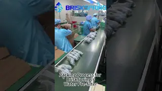 How Water Pre-Filters Are Packed in Factory | BriskSpring Manufacturing Process