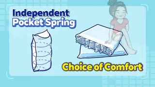 Targeted Body Support Pocket Springs