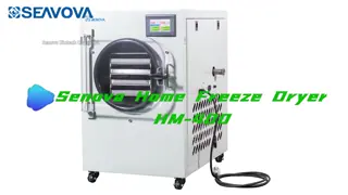 4Kg Countertop Home Freeze Dryer HM400
