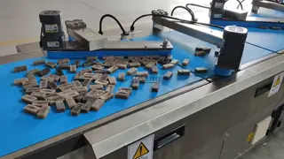 vienna style chocolate packing machine