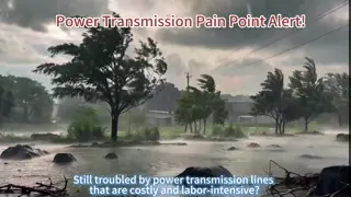 Double Capacity Overhead Carbon Fiber Conductor Composite Core Corrosion Resistant