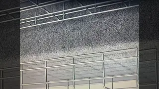 flextray wire mesh basket tray